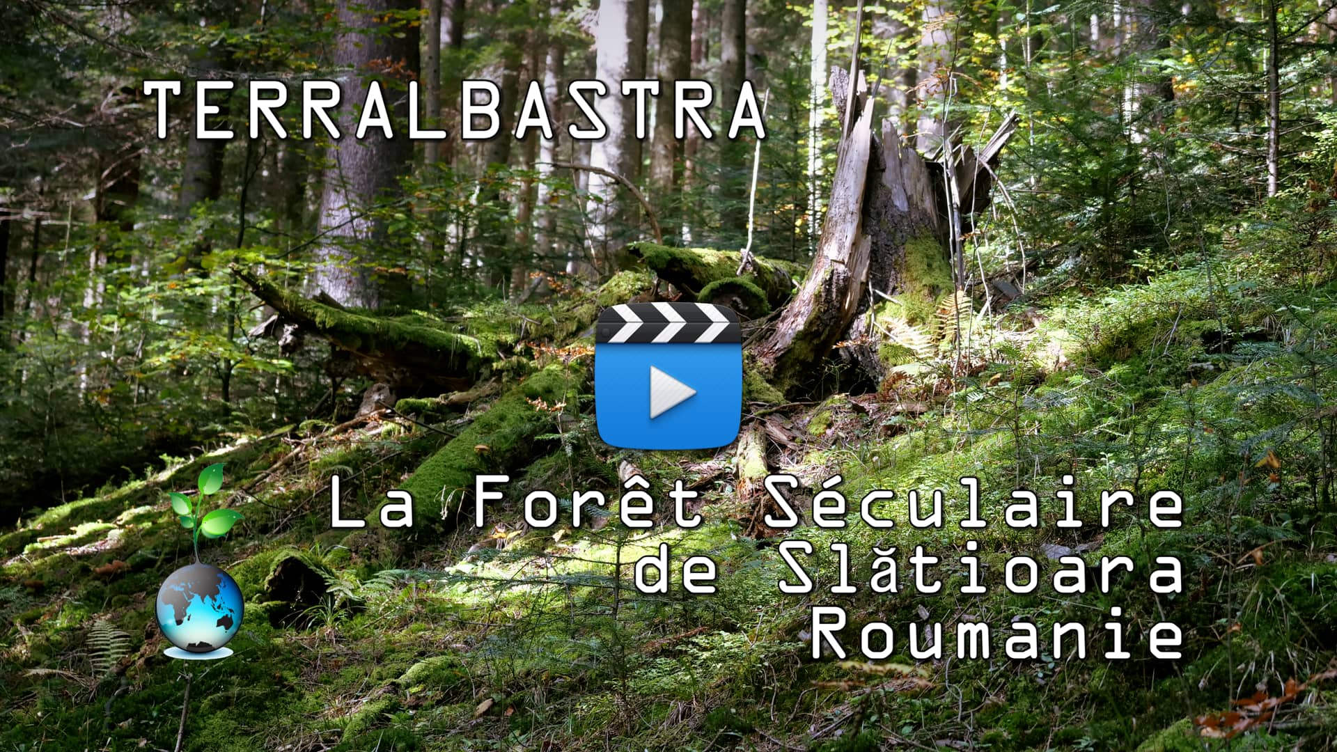 La forêt séculaire de Slătioara : Ion Barbu, Dr Ingenieur, Institut de ...