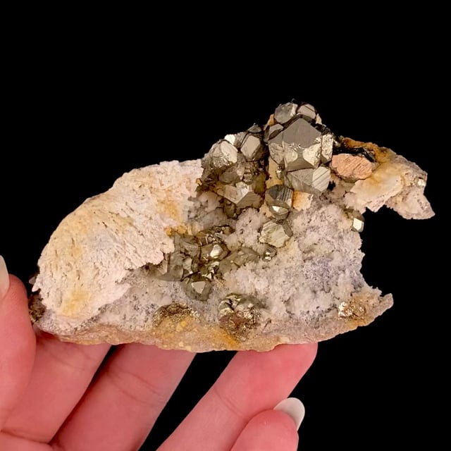 Pyrite (RARE locality specimen) (ex Dave Bergman Collection) | South ...