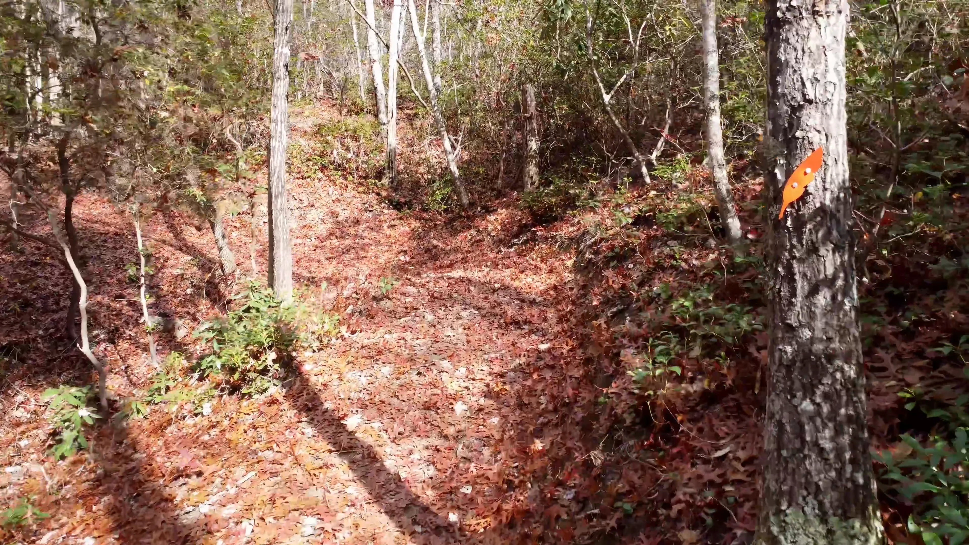 Copper Ridge Trail, Fonta Flora State Trail segment, North Carolina ...