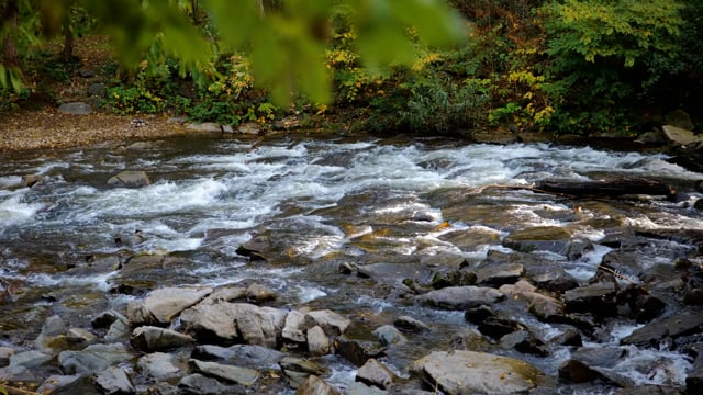 Cascade Fleuve Rapide - Free video on Pixabay - Pixabay