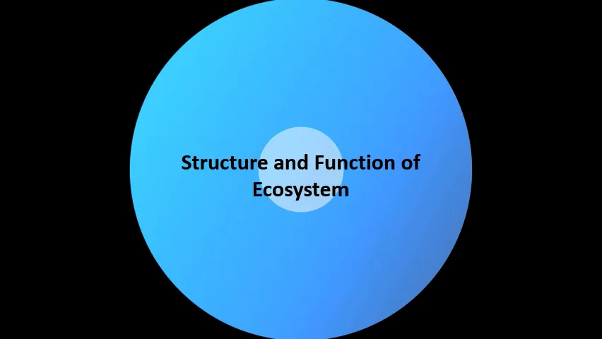 Environmental Science_Unit 4_Topic 2_Structure and Function of Ecosystem.pptx on Vimeo
