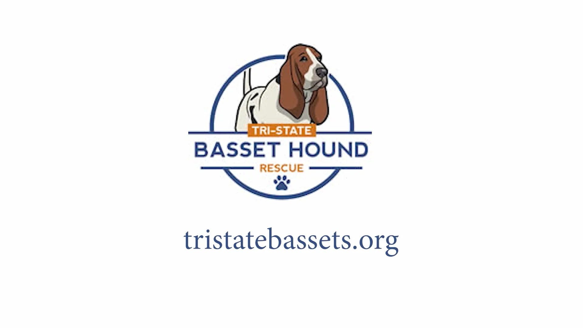 Tri State Basset Rescue