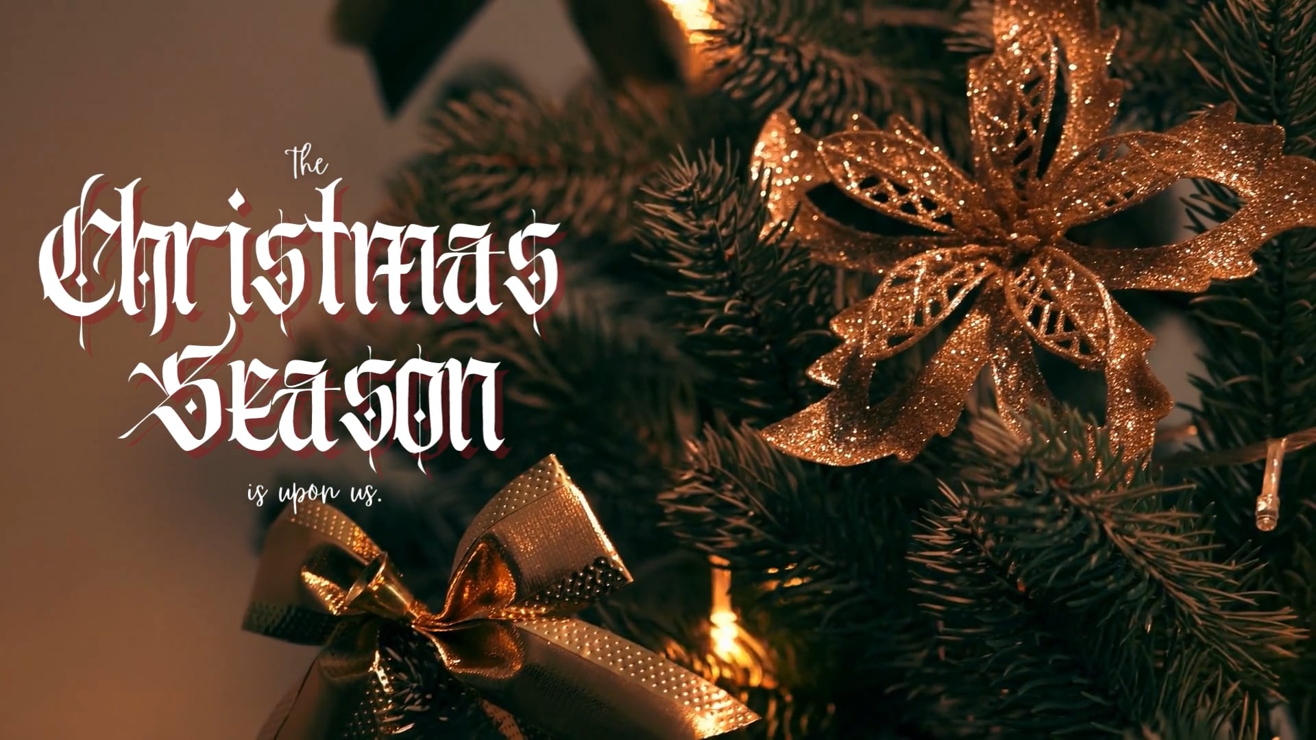 Christmas Video.mp4 on Vimeo