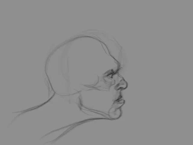 Screaming Side View Drawing