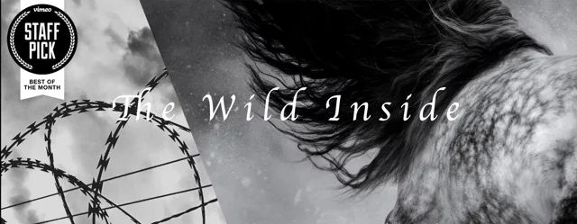 Young Wild And Free Facebook Cover