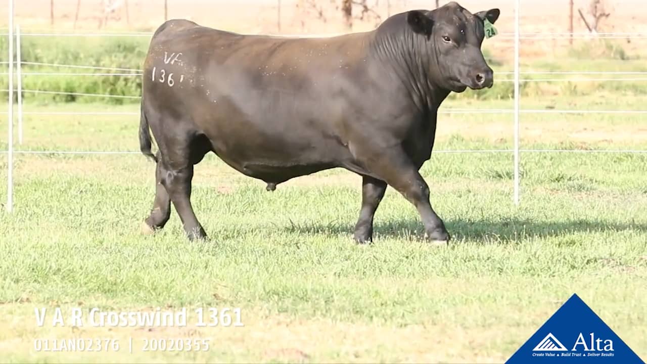 011AN02376-Crosswind on Vimeo