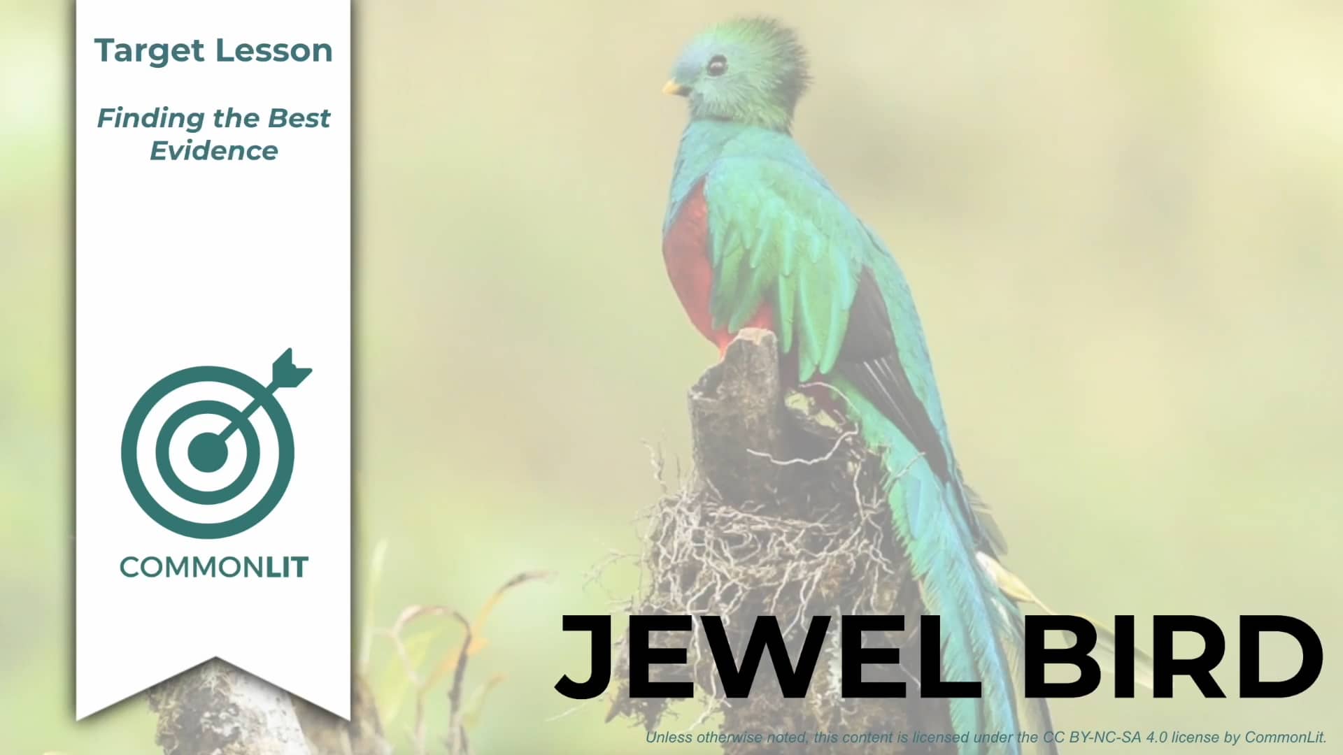 Target Lesson: Jewel Bird on Vimeo