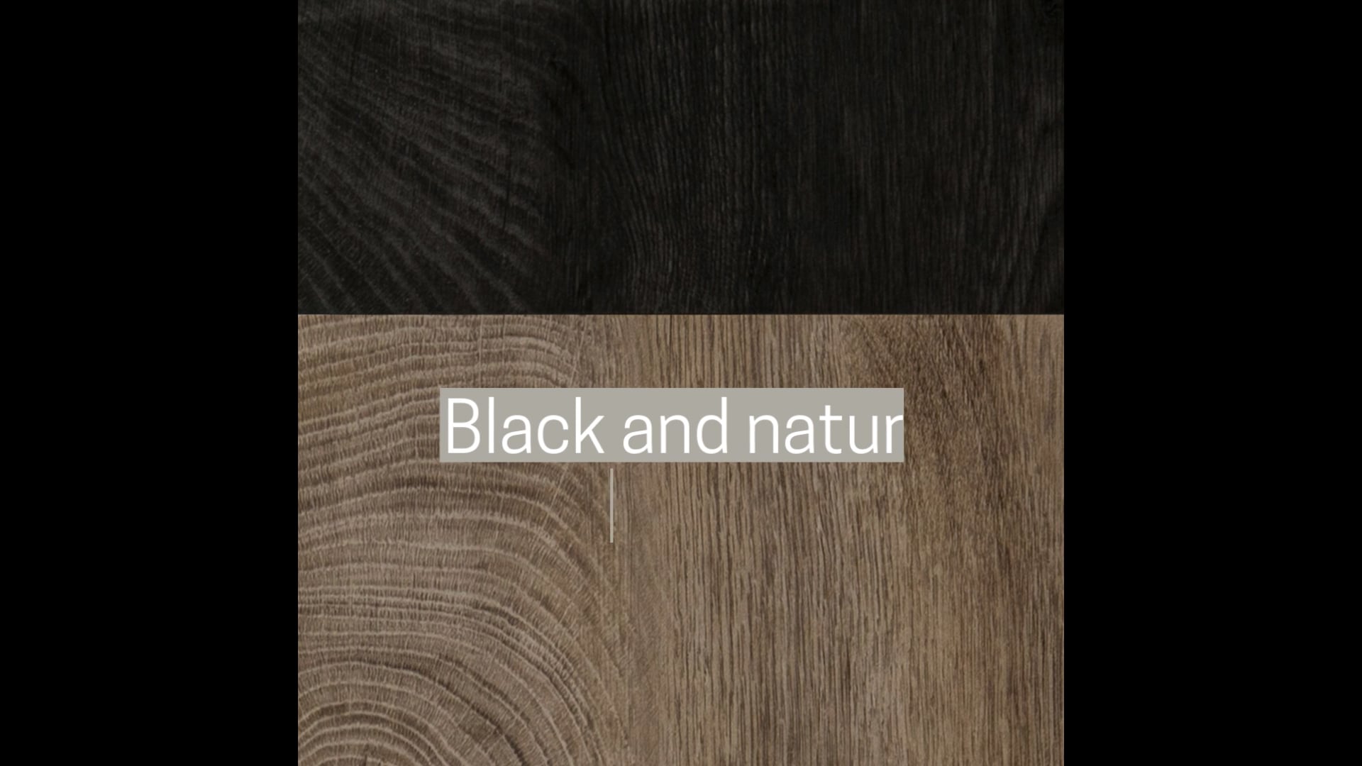 Jemma Writing Desk - Transitional - Desks And Hutches - by SEI | Houzz