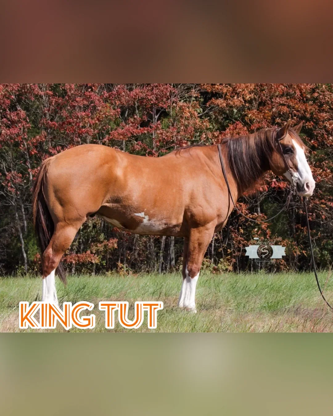 King Tutt Sale Video on Vimeo