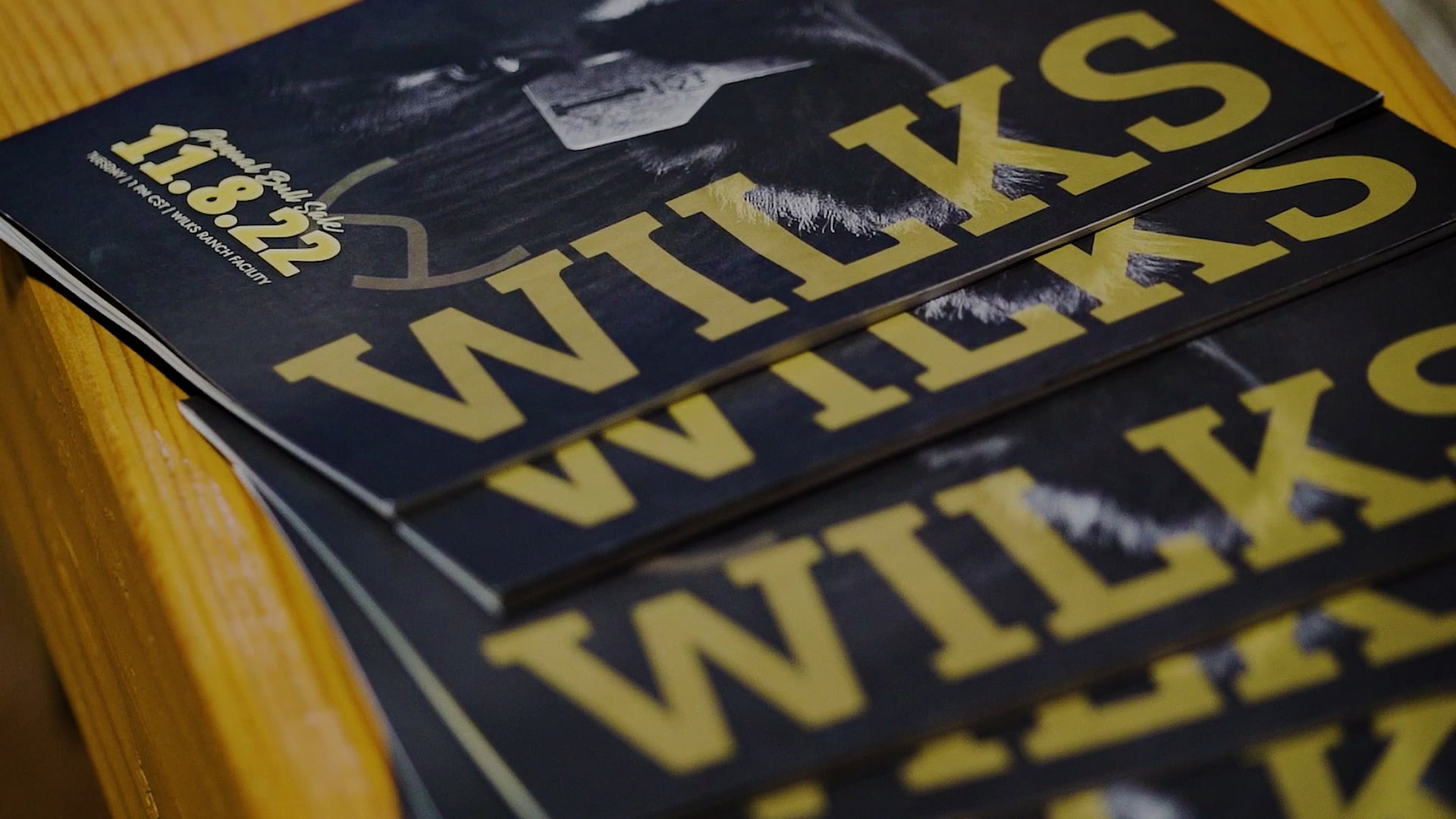 Wilks Ranch | Bull Sale Highlight on Vimeo