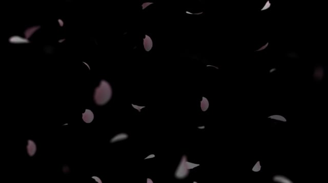 Rose Texture La Boucle - Free video on Pixabay - Pixabay