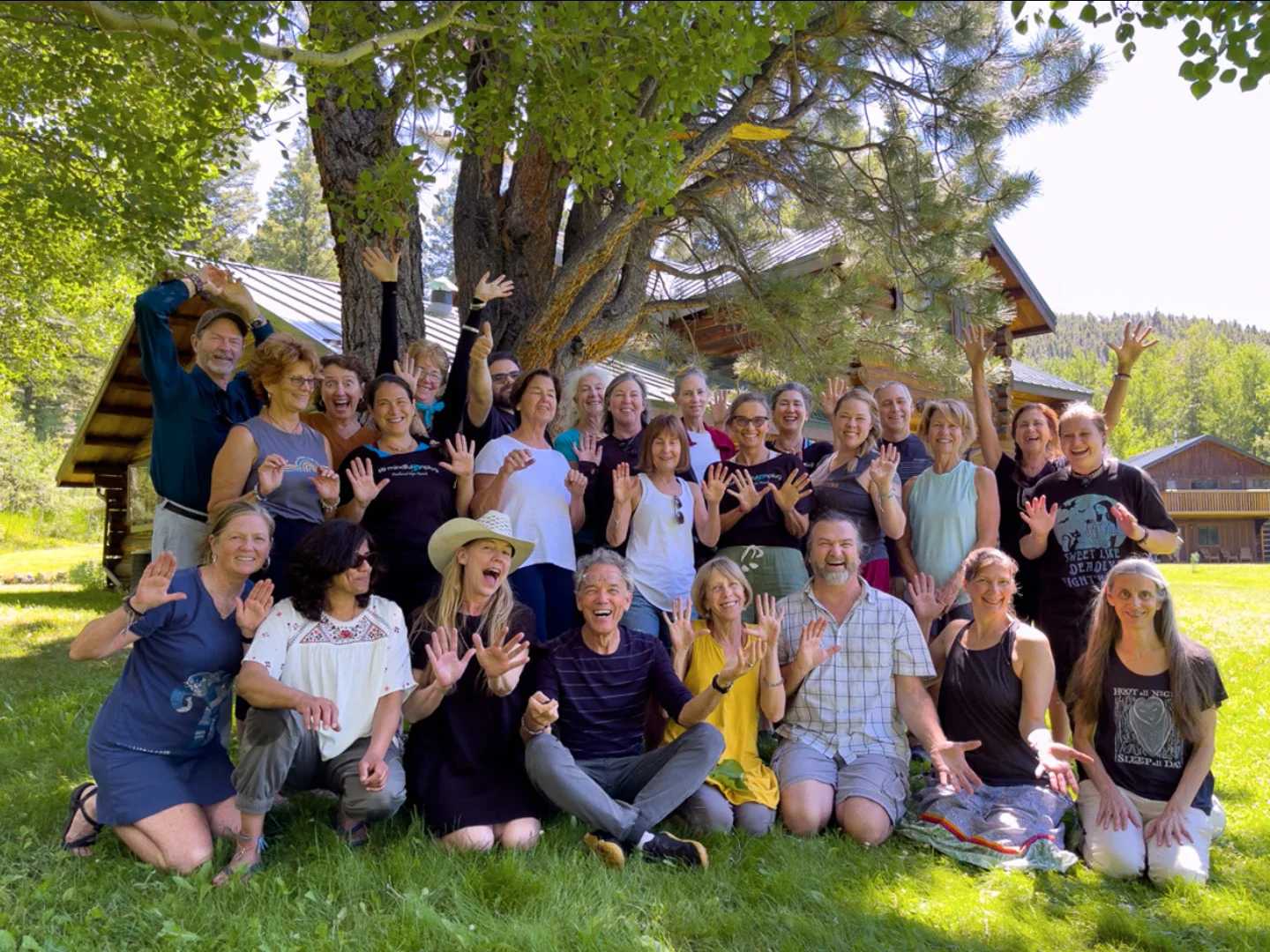 The Mindful Unplug: Wake Up To True Nature - Anne Jablonski, Zane ...