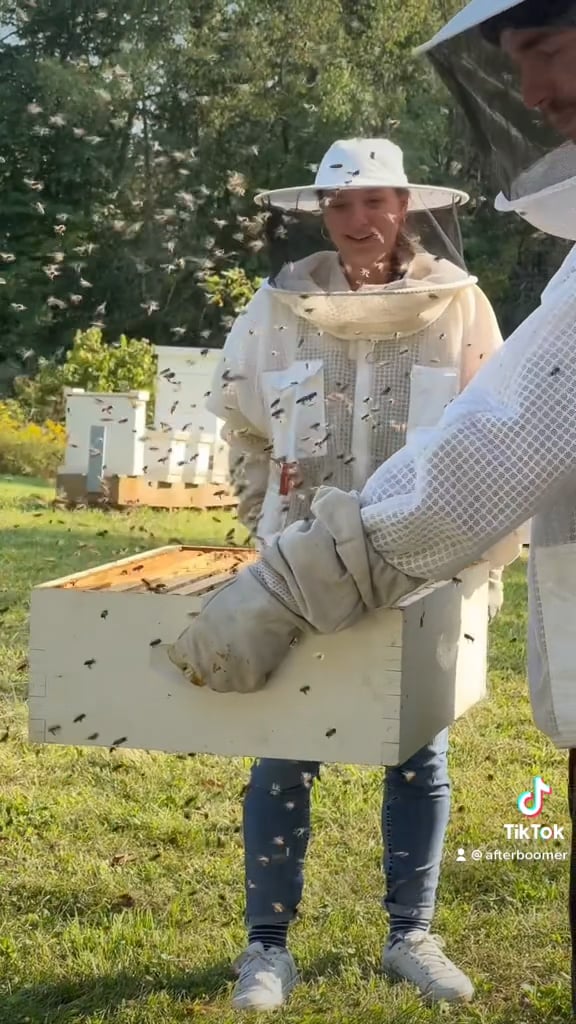 shake the box on Vimeo