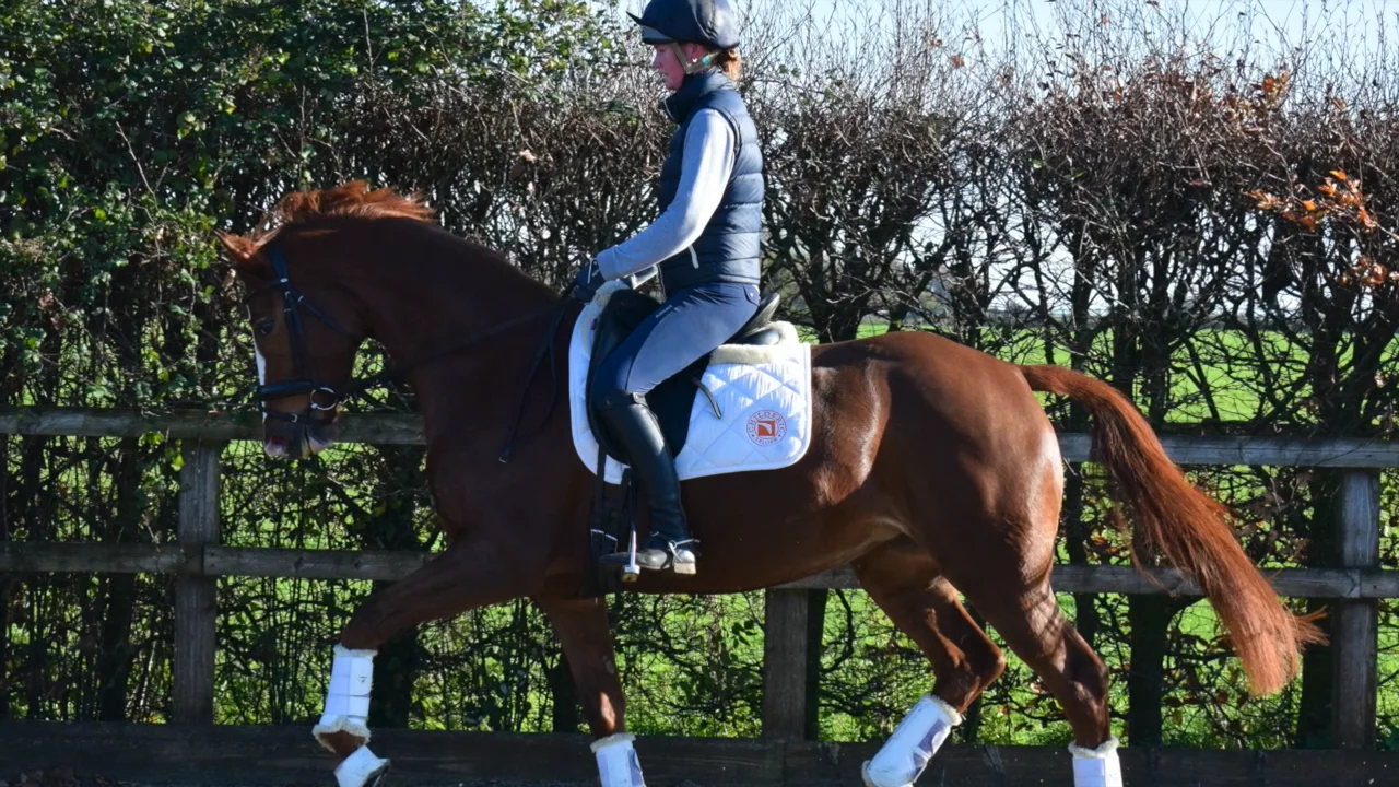 2018 Timolin x Laurentianer (m) on Vimeo