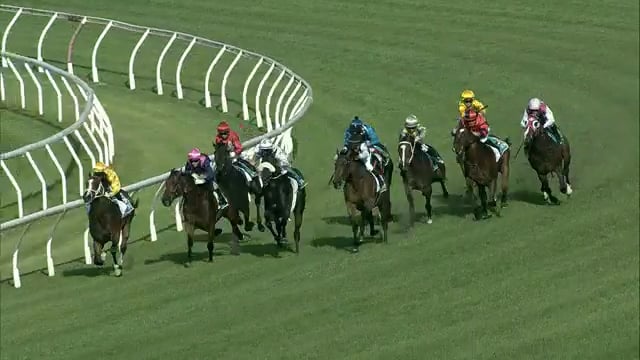 I Am Invincible - Stallion | Breednet