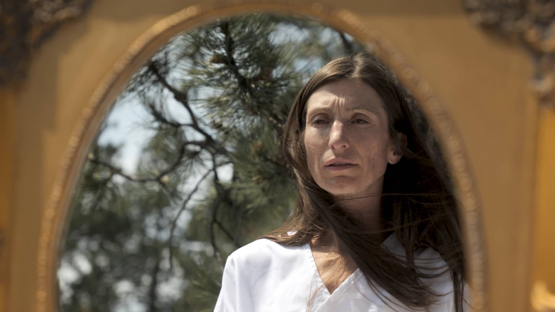 The-Clinic_V3-Treehouse-FINAL on Vimeo