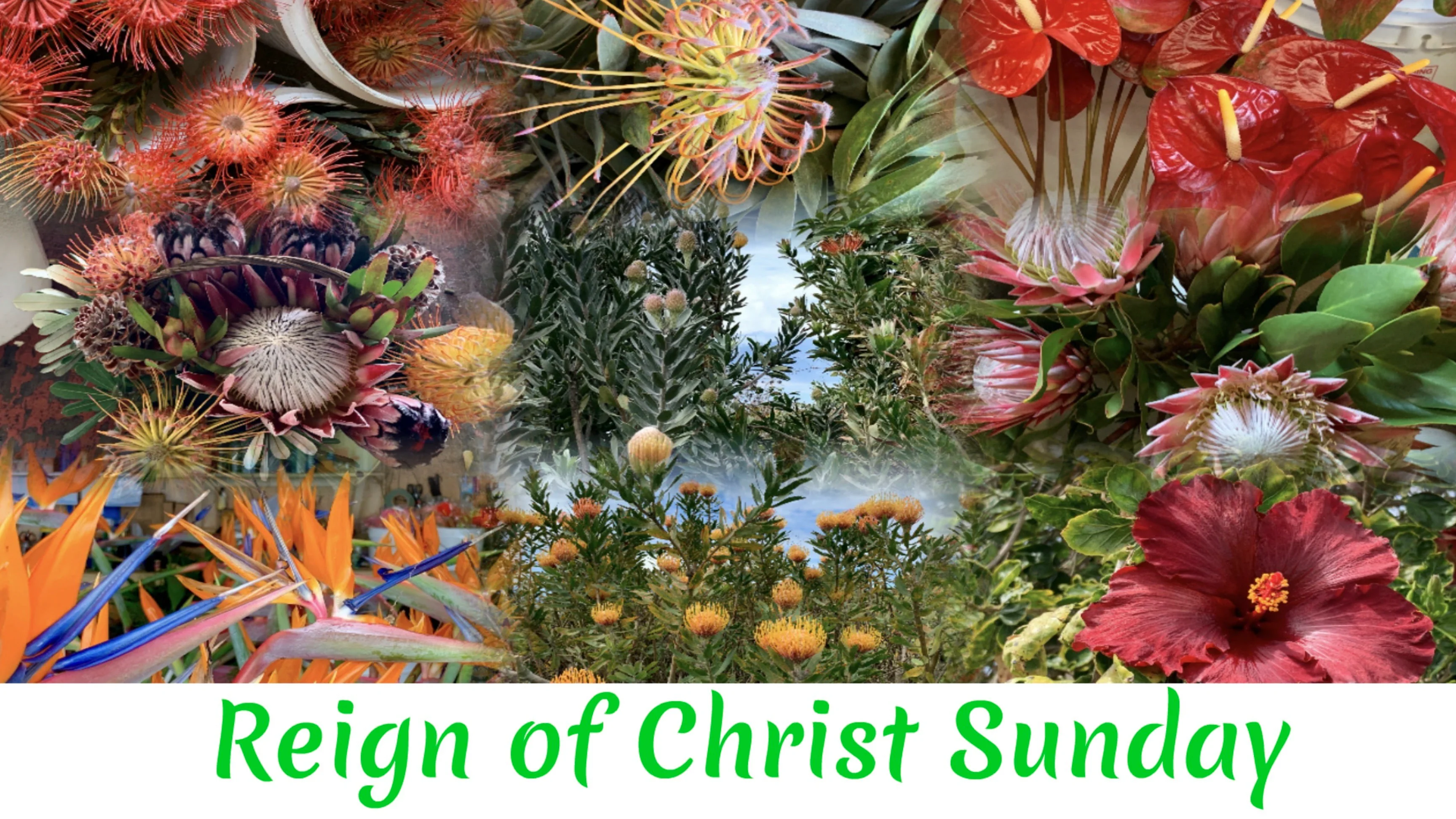 Reign of Christ Sunday on Vimeo