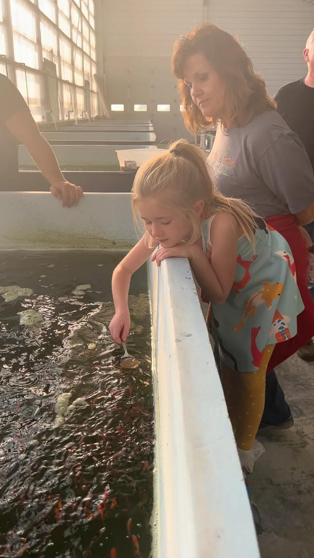 Feeding Baby Goldfish on Vimeo