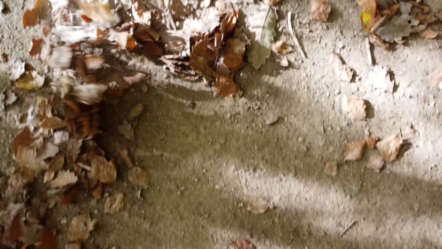 Drought Videos: Download 25+ Free 4K & HD Stock Footage Clips - Pixabay