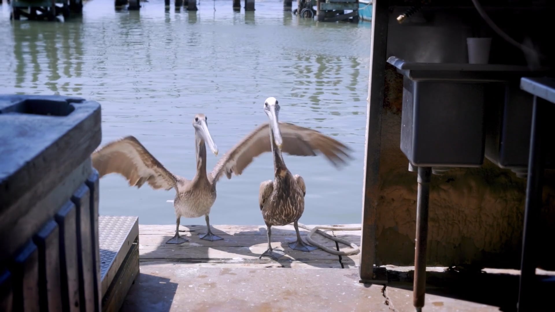 Environmental Reel on Vimeo