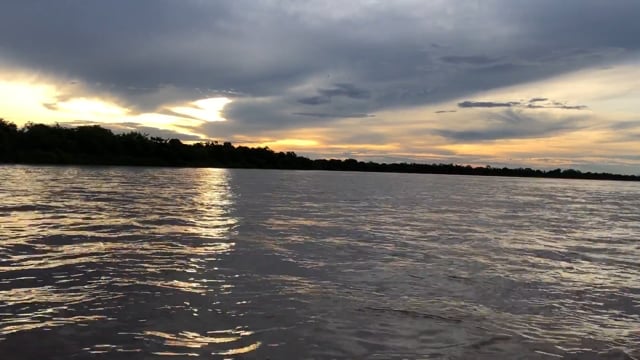 River, Nature, Brazil. Free Stock Video - Pixabay