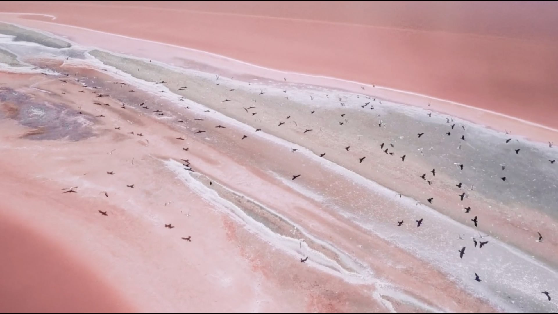 slim | a production company | Editors