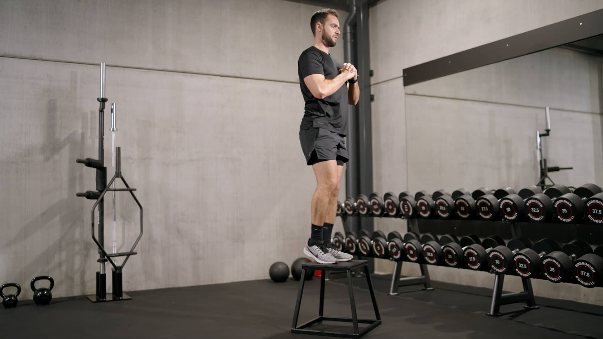 Bodyweight Step Up on Vimeo