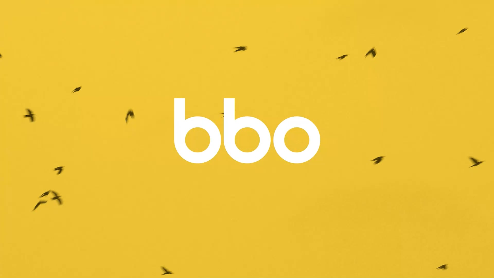 BBO_Intro on Vimeo