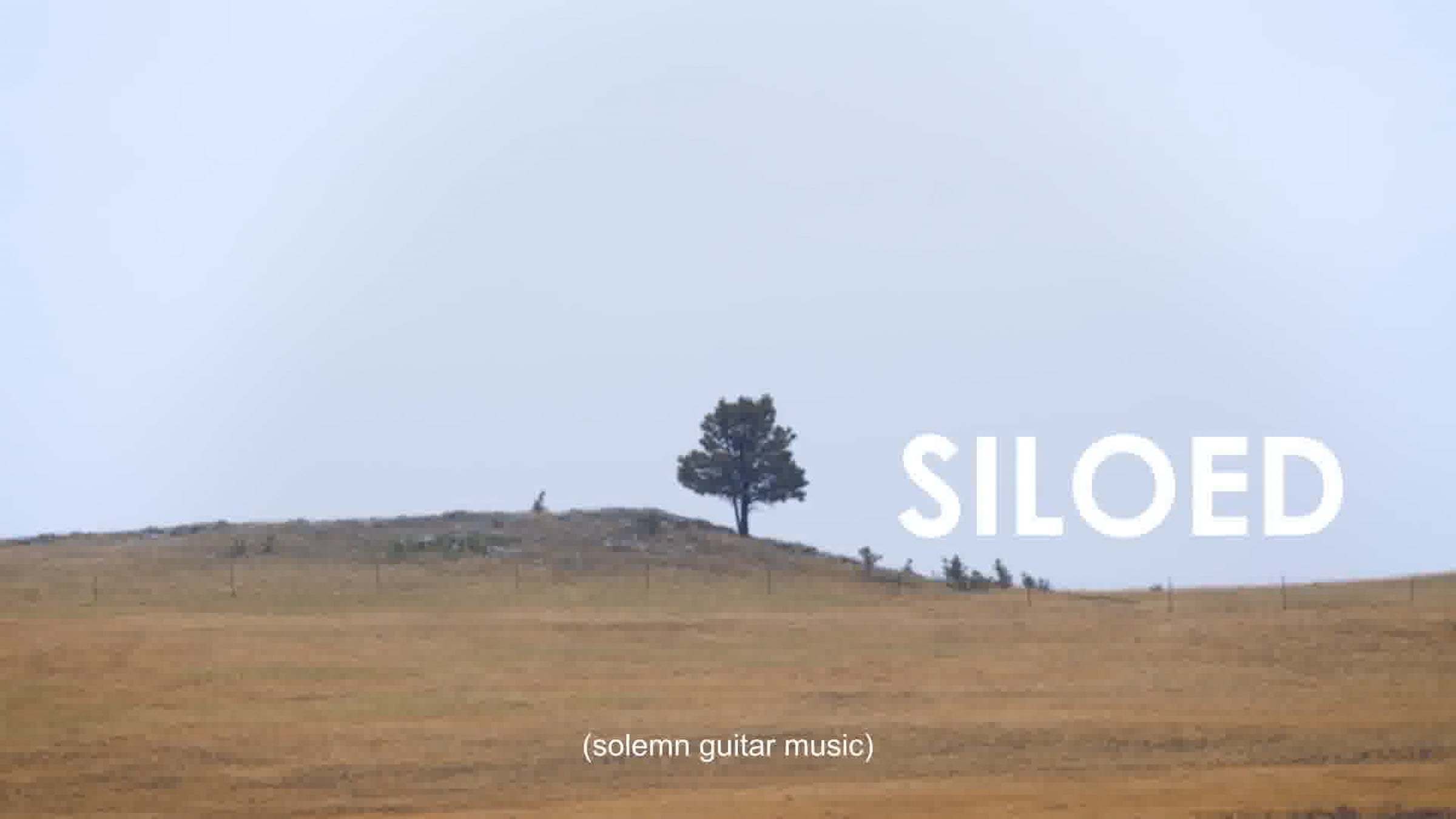 Siloed: Finding Support Through Telehealth Services