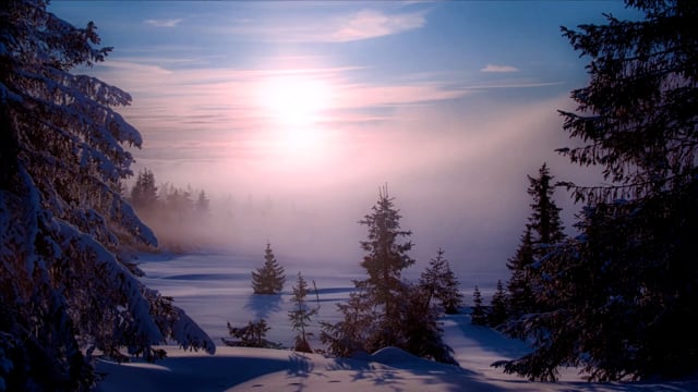 Snow, Meadow, Field. Free Stock Video - Pixabay