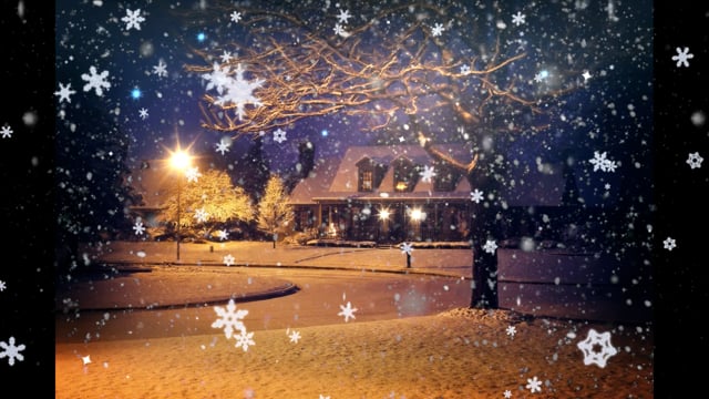 Snow, Snowfall, Tree. Free Stock Video - Pixabay