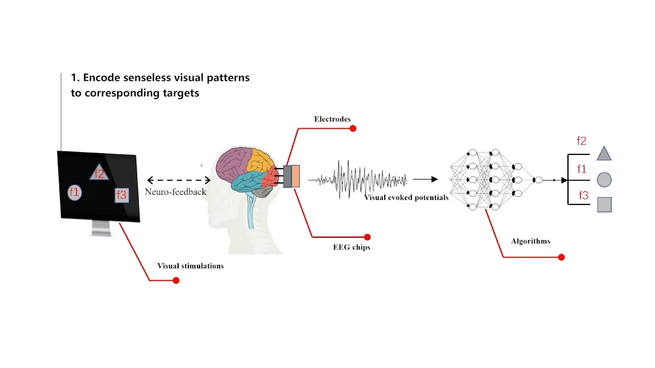 a Stimulation Senseless Based Visual Brain-Computer Interface
