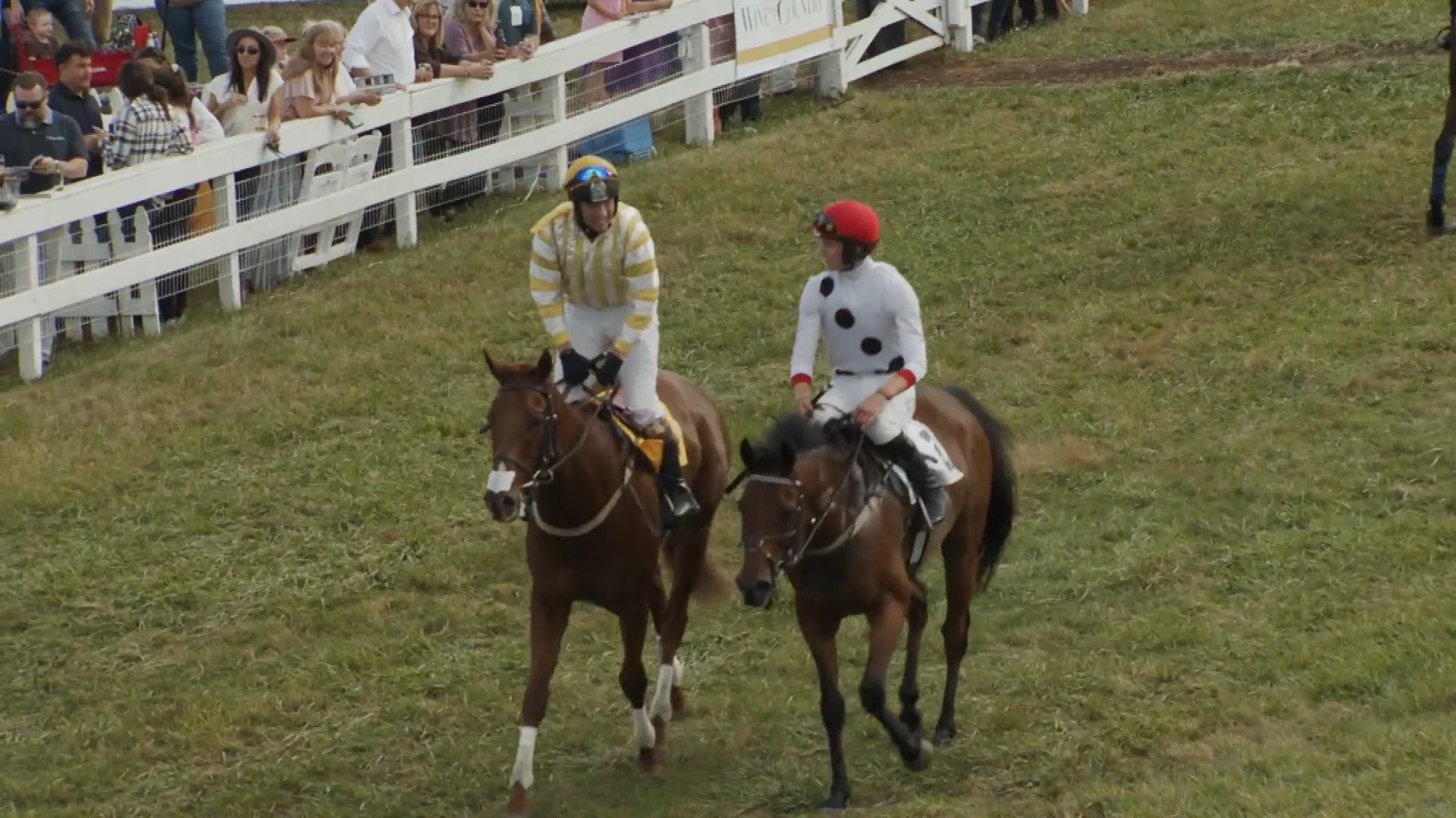 2022 Montpelier Hunt Races - 110522 Montpelier R 4 on Vimeo