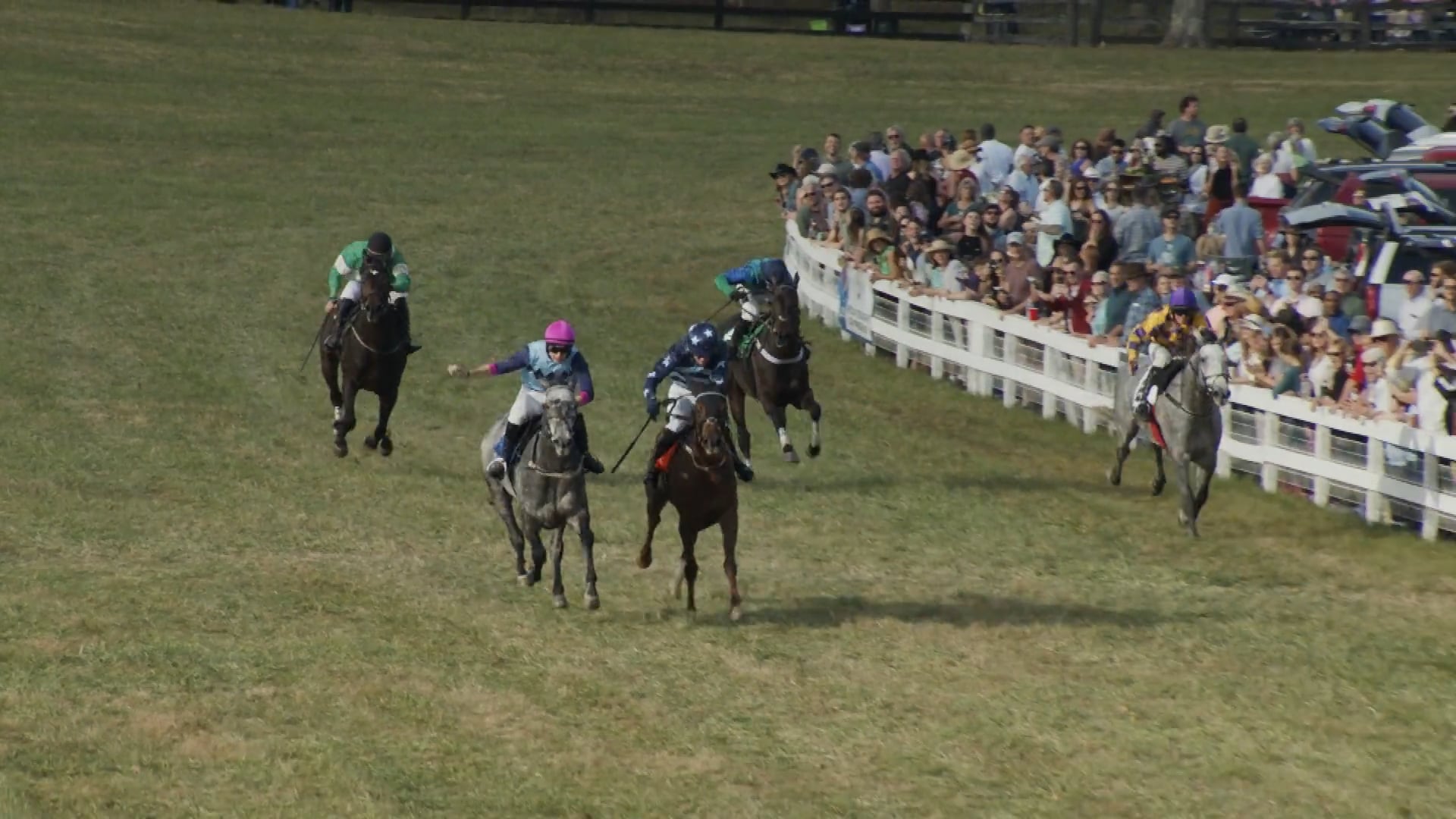 2022 Montpelier Hunt Races - 110522 Montpelier R 6 on Vimeo