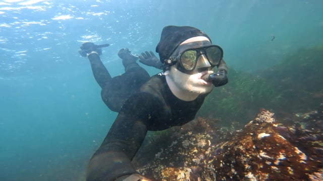 Snorkeling Diving Fun - Free video on Pixabay