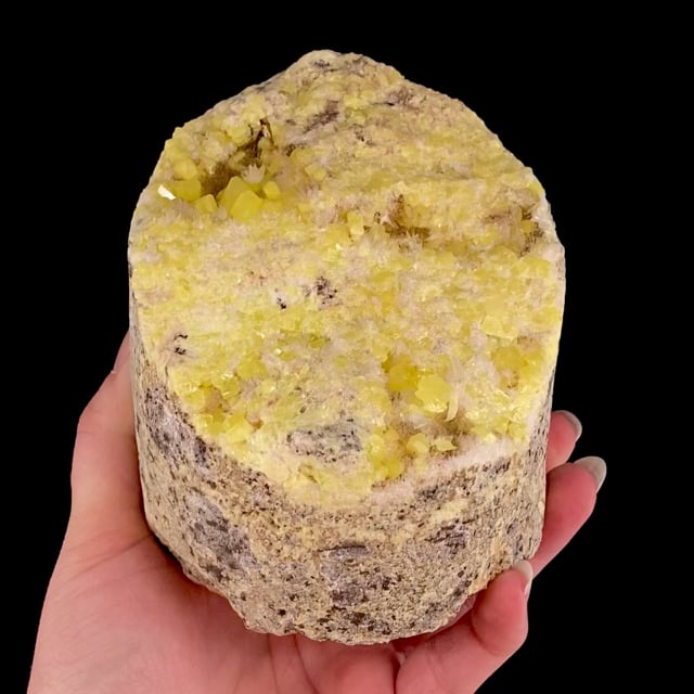Sulfur on Calcite (drill core) (RARE locality specimen) | Boling Dome ...
