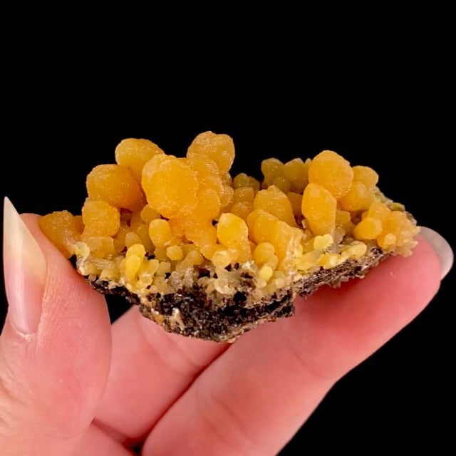 Mimetite with Wulfenite | Ojuela Mine, Mapimi, Durango, Mexico