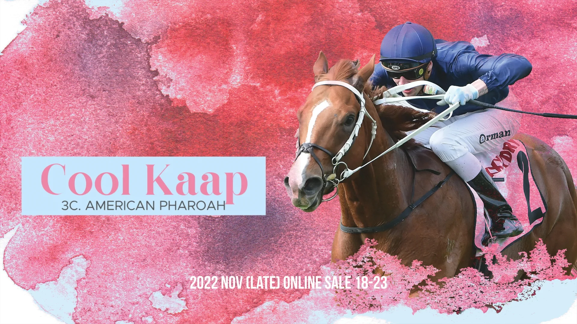 Cool Kaap - Racing Highlights on Vimeo