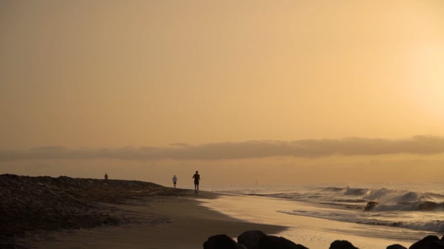 Walking Beach Videos: Download 75+ Free 4K & HD Stock Footage Clips ...