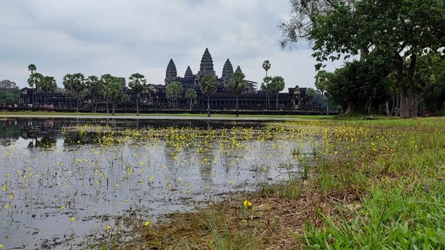 Angkor Wat Videos: Download 5+ Free 4K & HD Stock Footage Clips - Pixabay