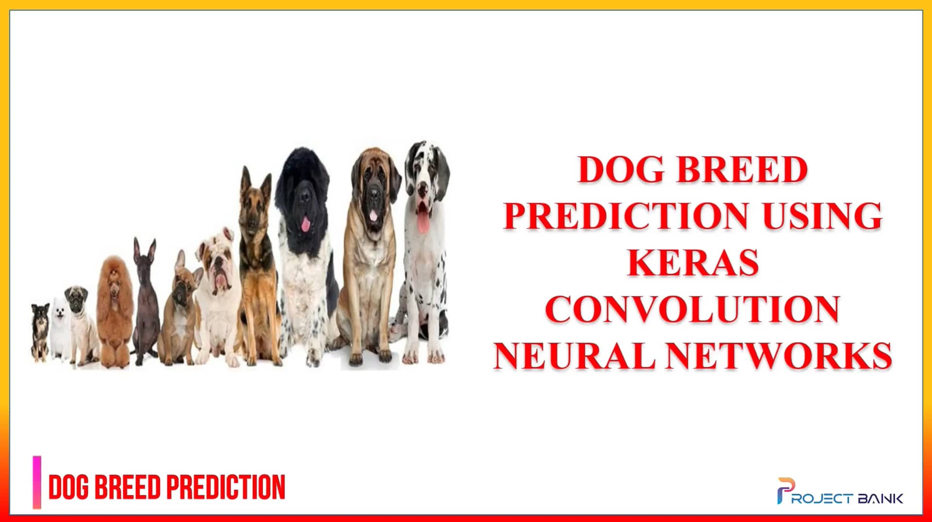 Introducion To Dog Breed Prediction on Vimeo