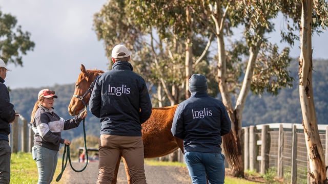 Inglis TV on Vimeo