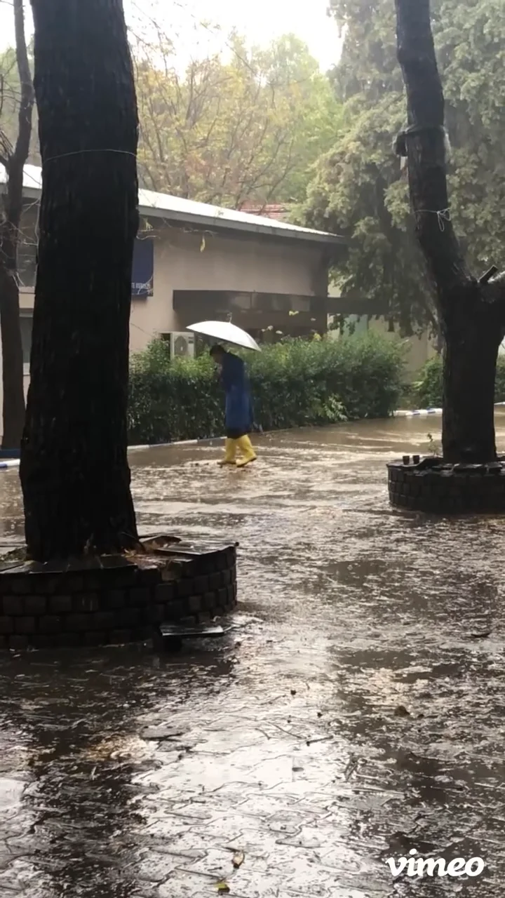 november rain on Vimeo