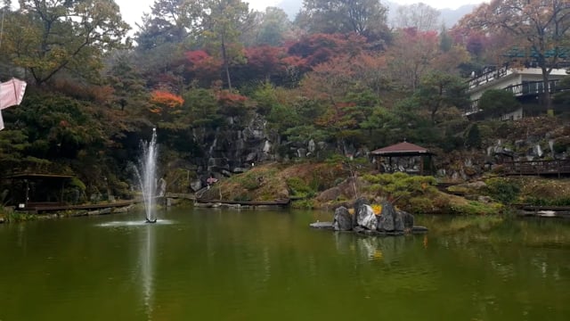 Fountain Lake Autumn - Free video on Pixabay