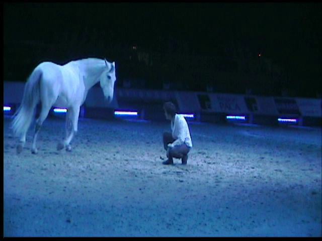 Mathieu Pignon MISEC Cheval Passion 2011 on Vimeo