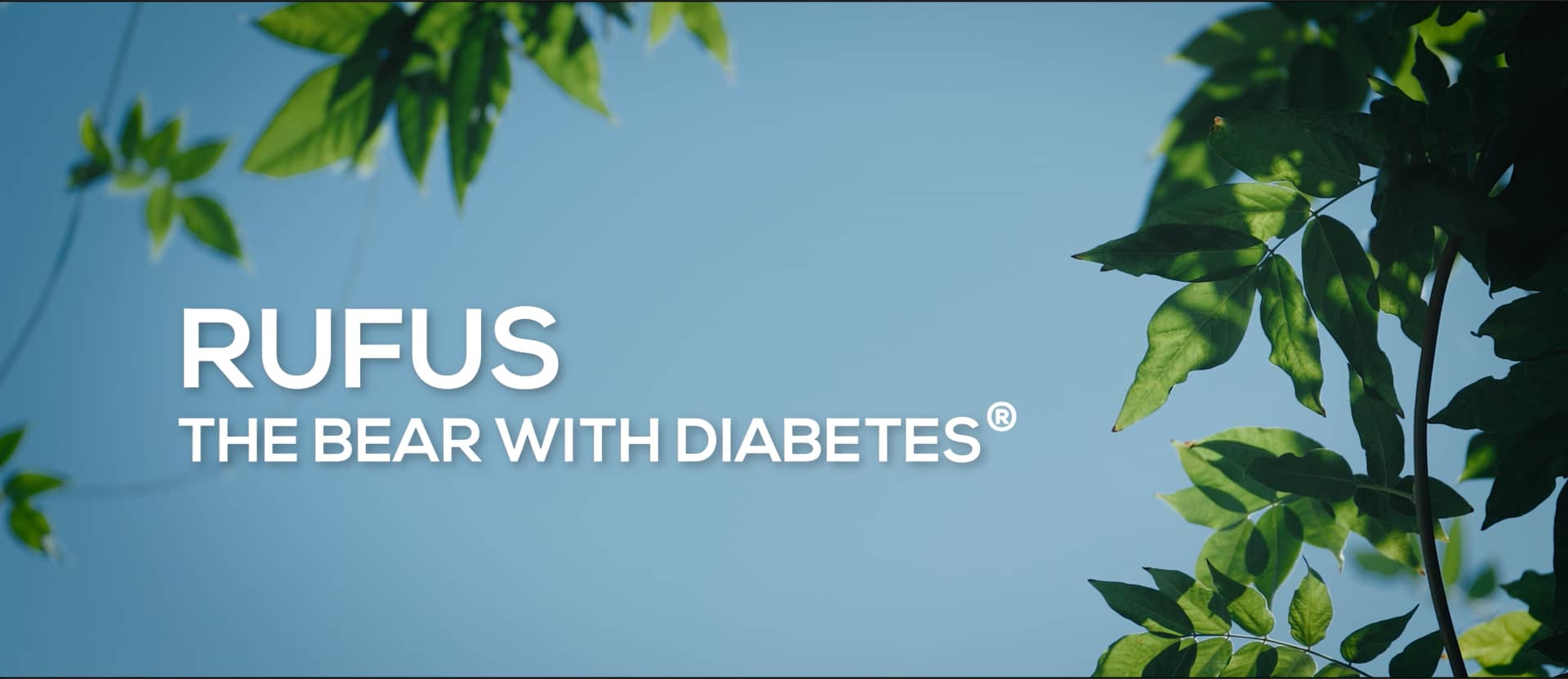 Rufus Bear: English.mp4 on Vimeo