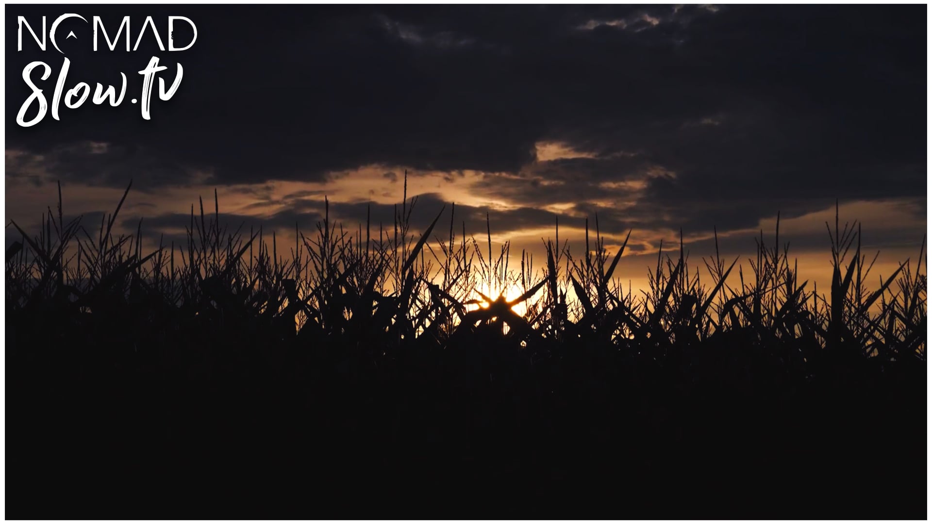 Libernoa - Tim Kahn on Vimeo