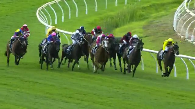 I Am Invincible - Stallion | Breednet