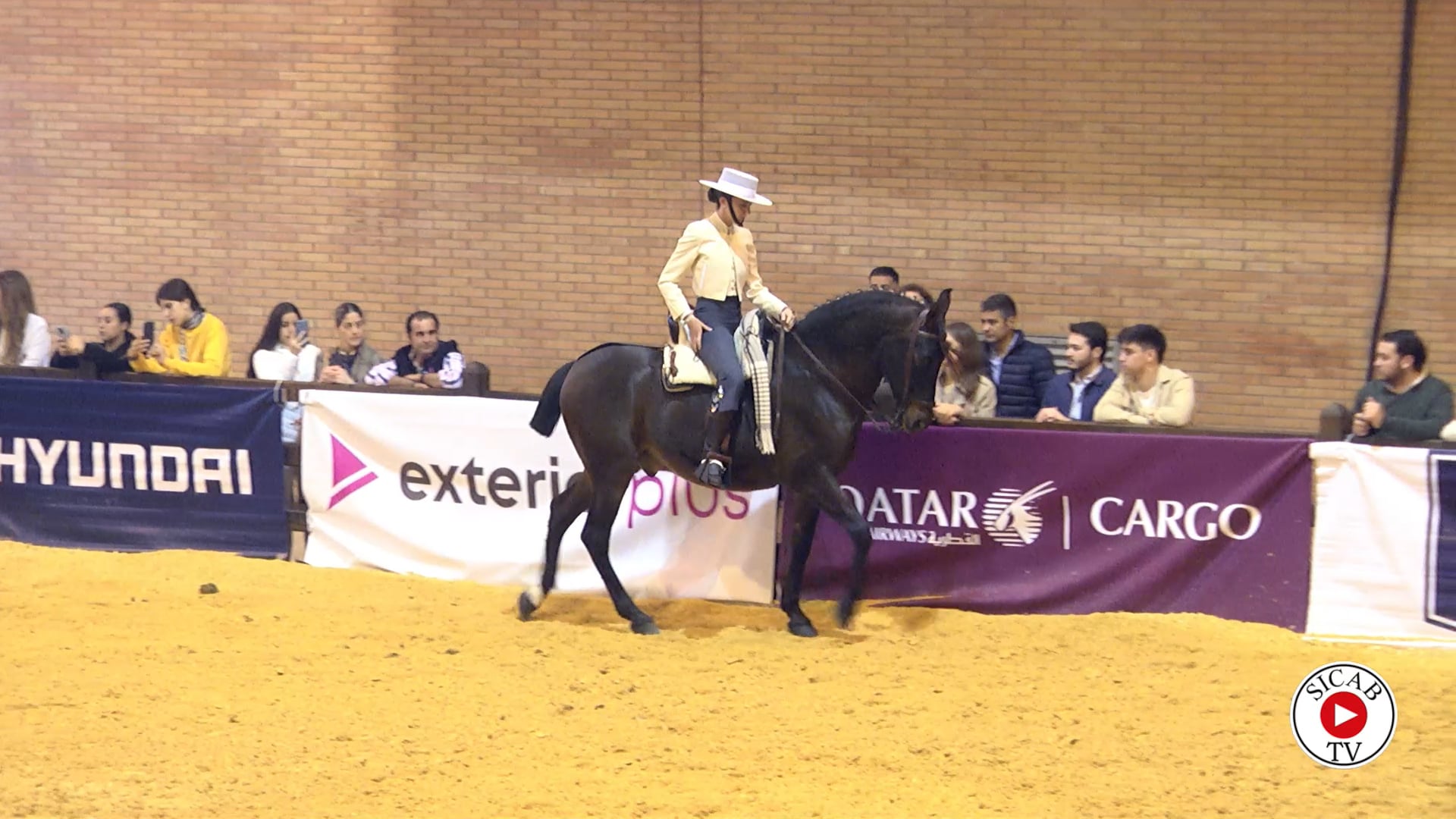 dv2-OSTENTOSO CAR on Vimeo