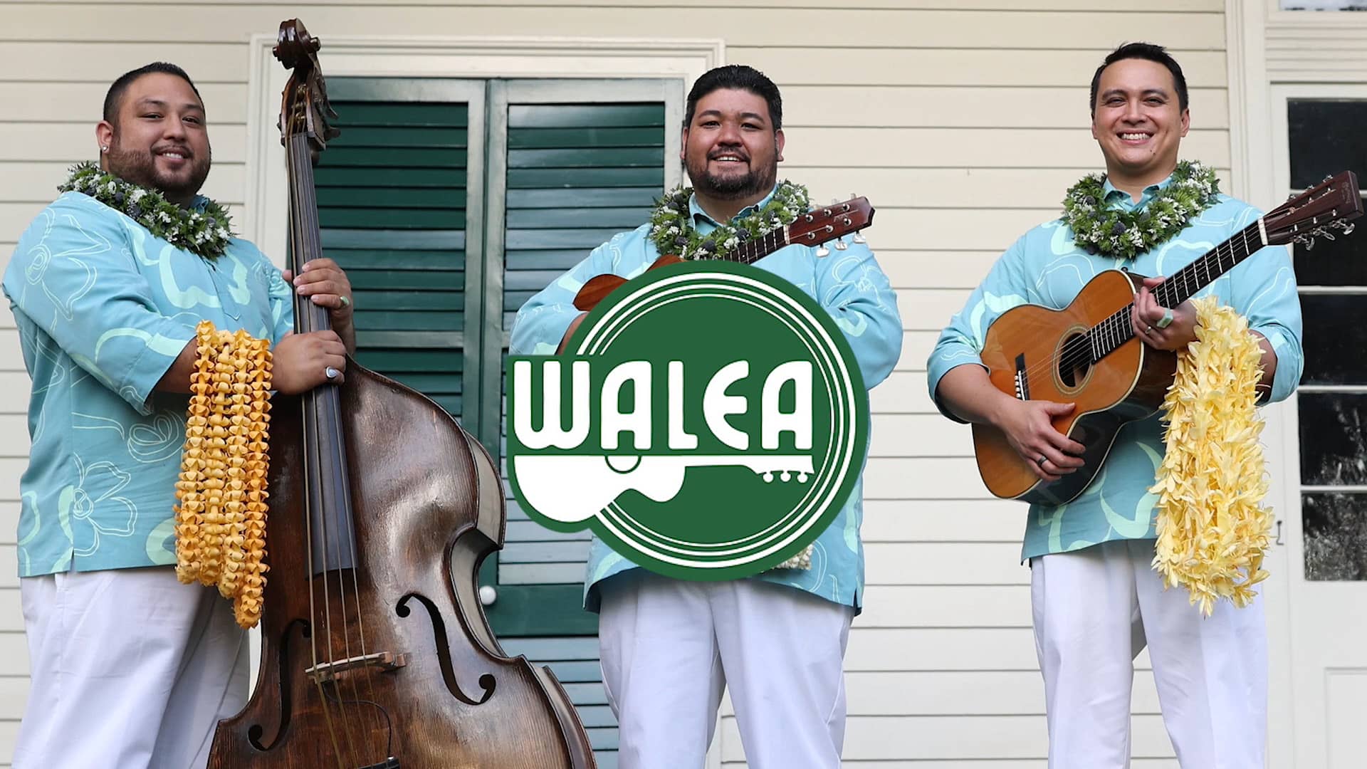 wailea hula lea PV-Up to 4K.mov on Vimeo
